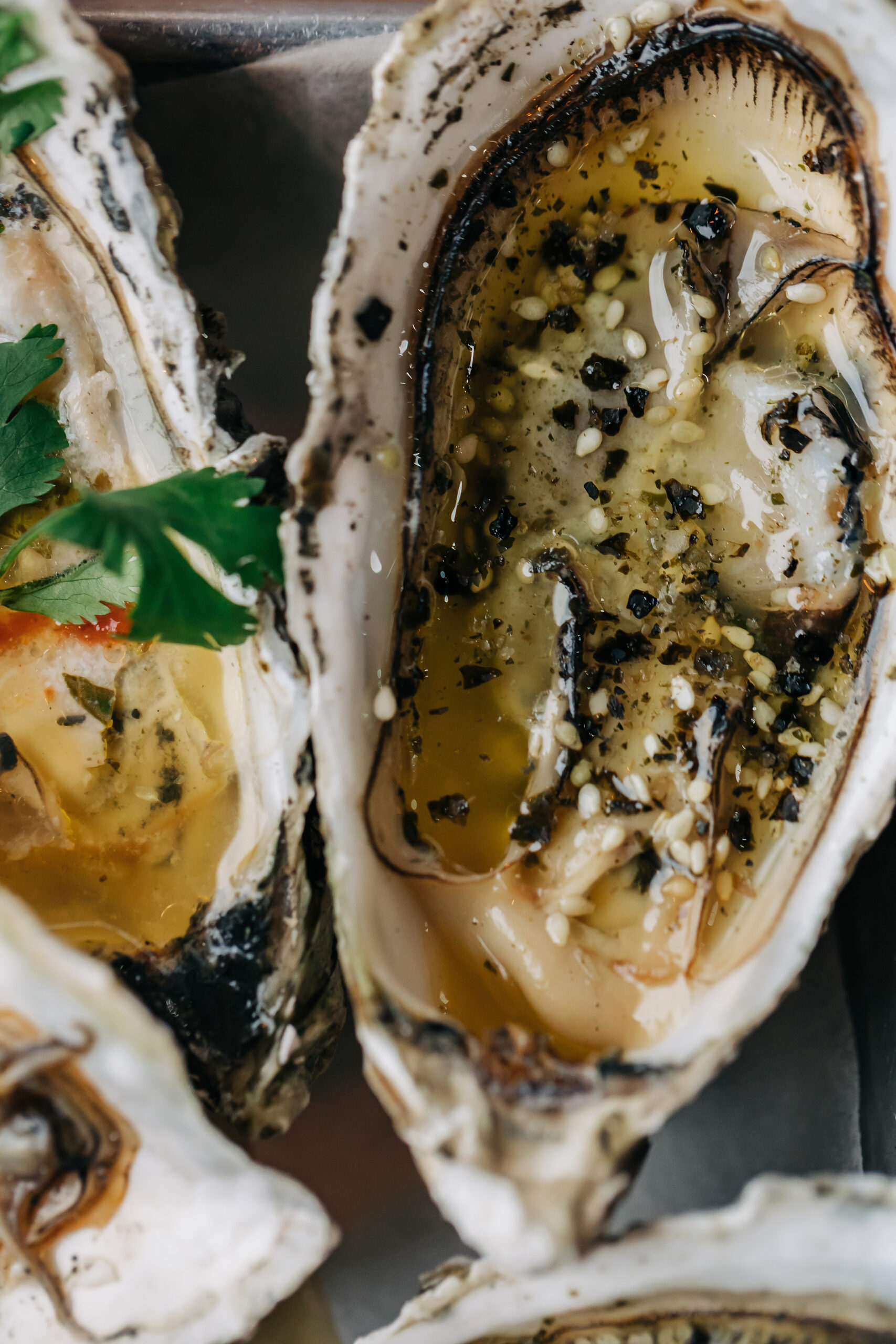 Bodega Bay Oyster Company – Family owned & operated since 1985.